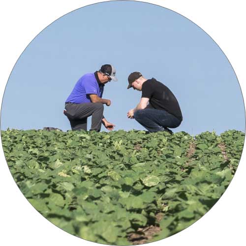 BASF | Advanced Weed Control