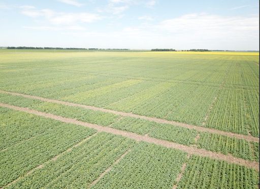 Trials | BASF