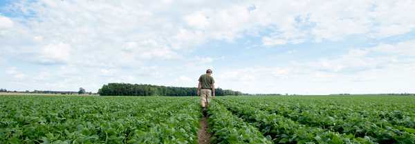 Home | Insecticide Solutions-BASF